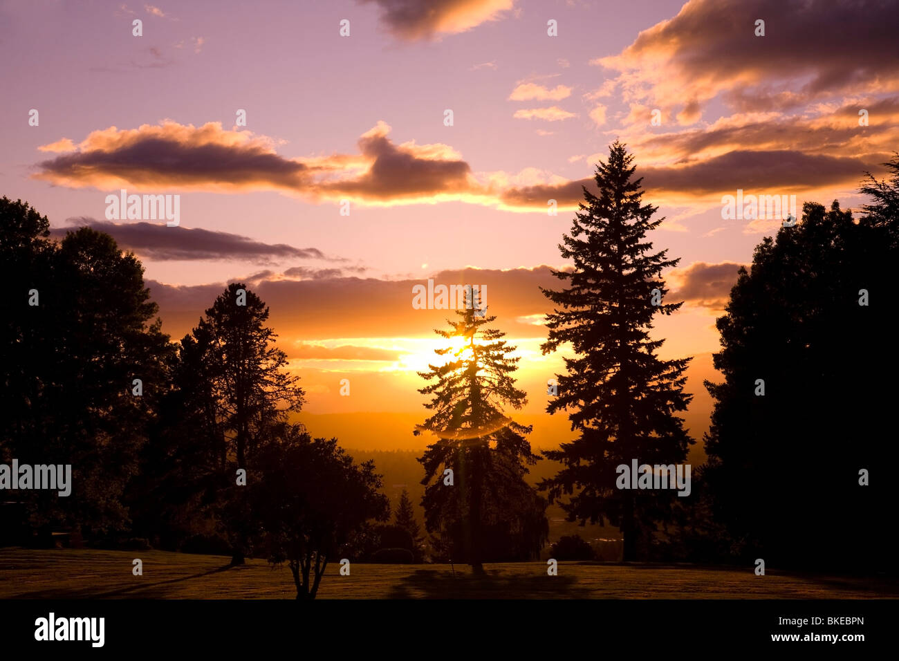 Willamette Valley, Oregon, Usa Stock Photo - Alamy