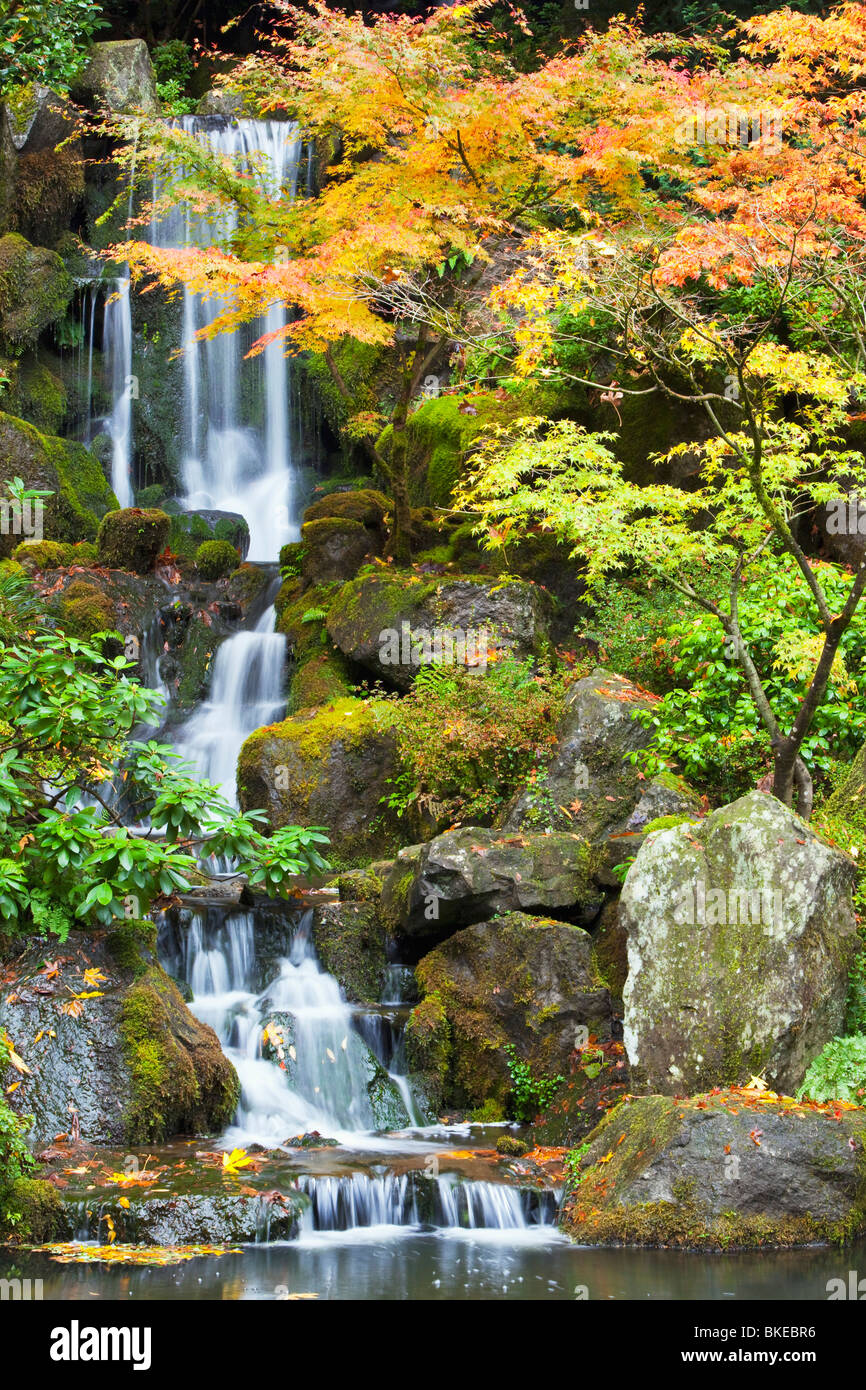 Portland Japanese Garden, Portland, Oregon, Usa Stock Photo - Alamy