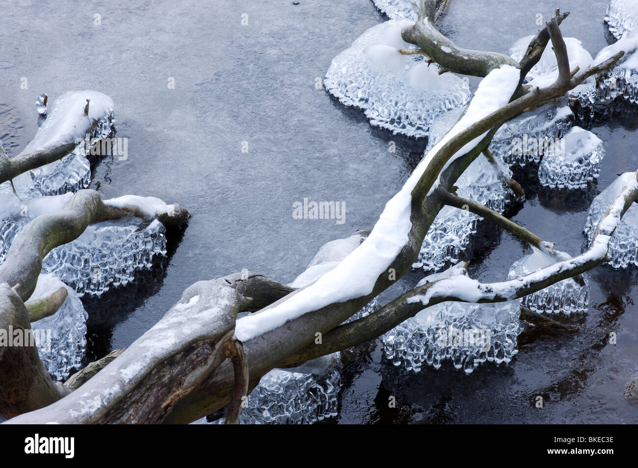 Winter details from Sweden Stock Photo - Alamy
