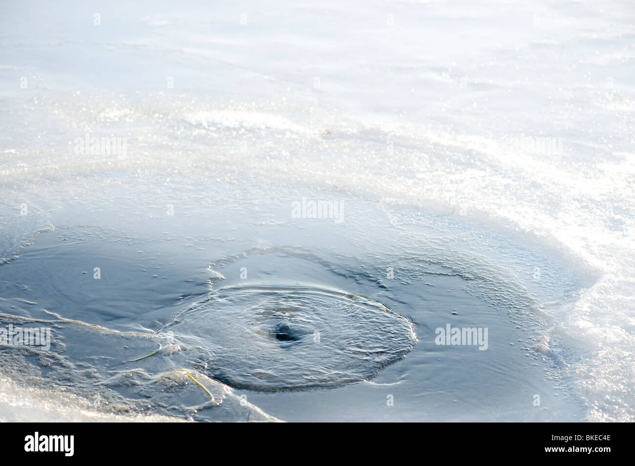 Winter details, sea ice,from Sweden Stock Photo - Alamy