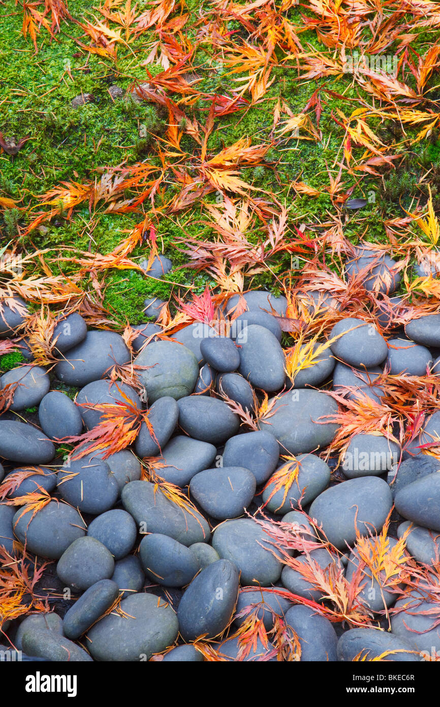Rocks And Fallen Leaves Stock Photo - Alamy