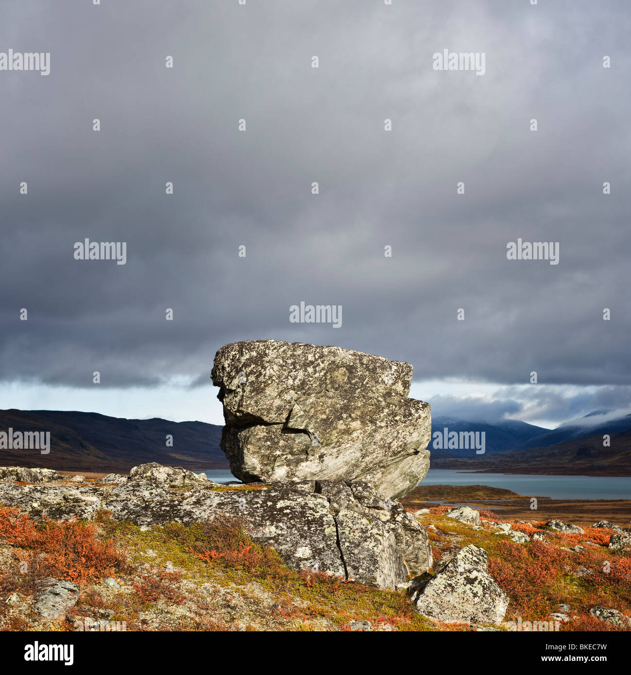 Rock in rugged arctic landscape, Lapland, Sweden Stock Photo - Alamy