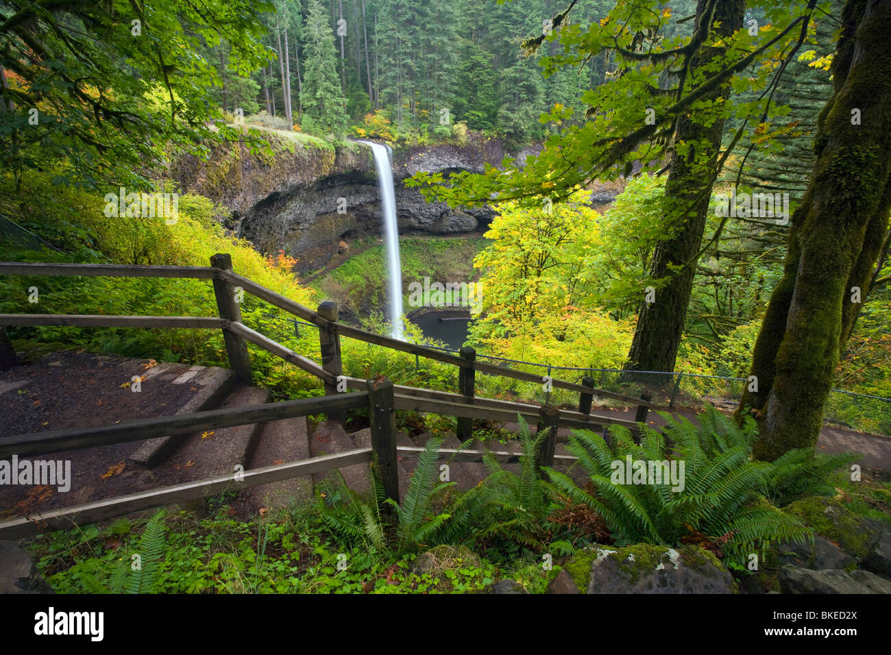 South Silver Falls, Silver Falls State Park, Oregon, Usa Stock Photo ...