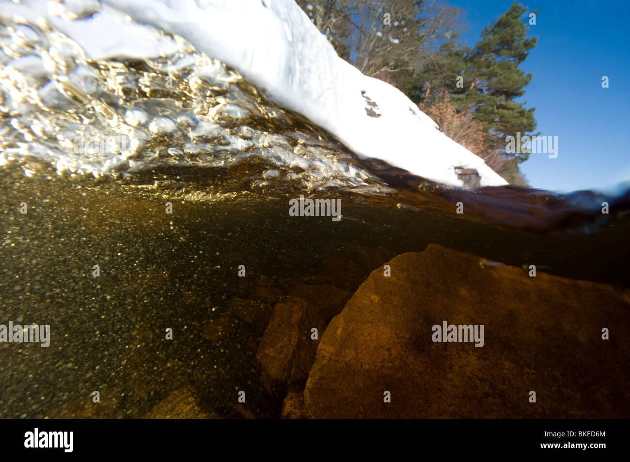 Winter details from Sweden Stock Photo - Alamy
