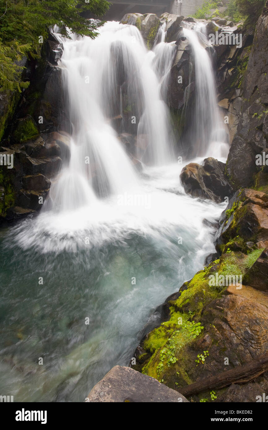 Paradise River, Mount Rainier, Mount Rainier National Park, Washington ...