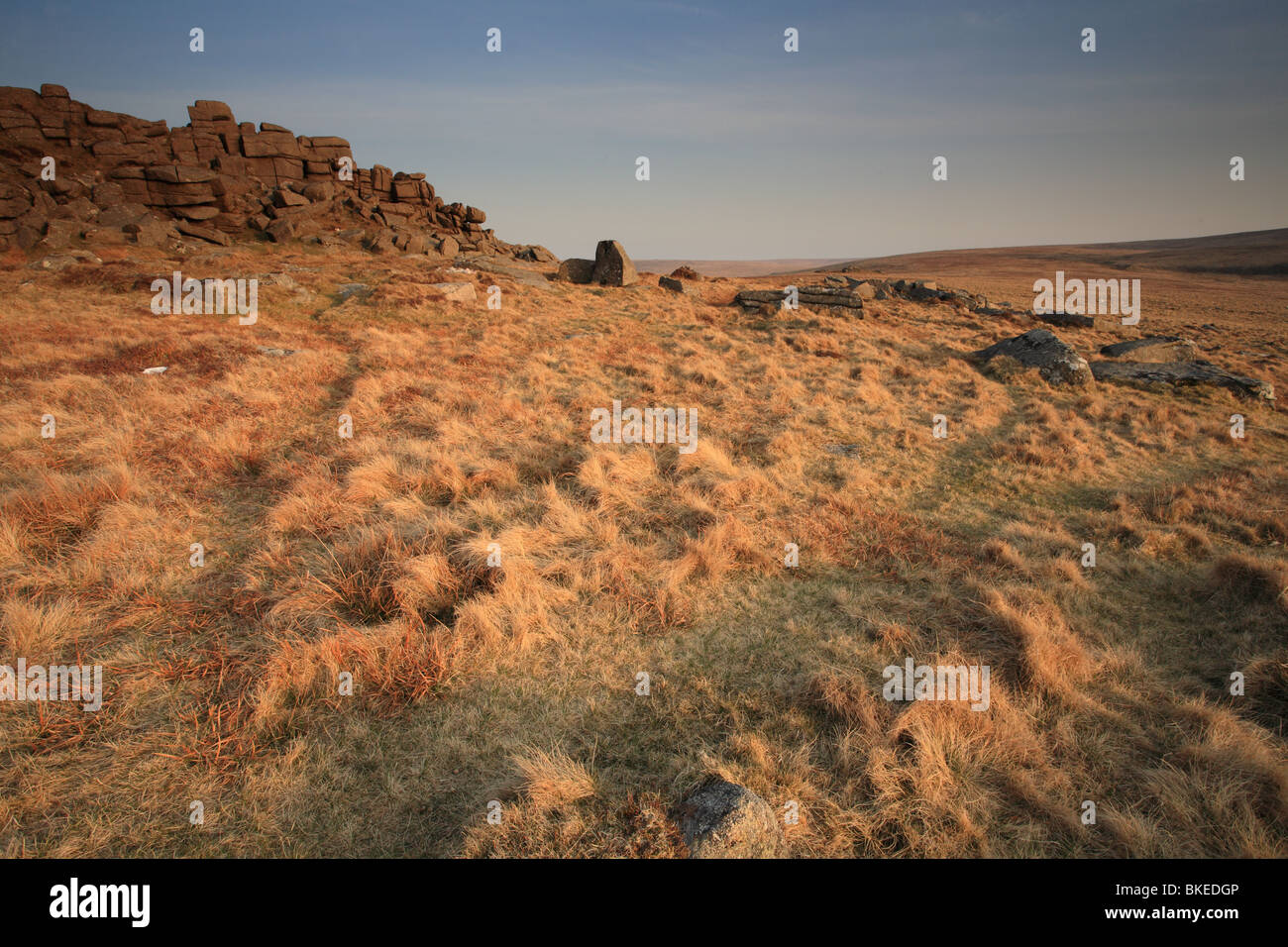 West Mill Tor (500 Metres) in dry early spring, Dartmoor, Devon ...