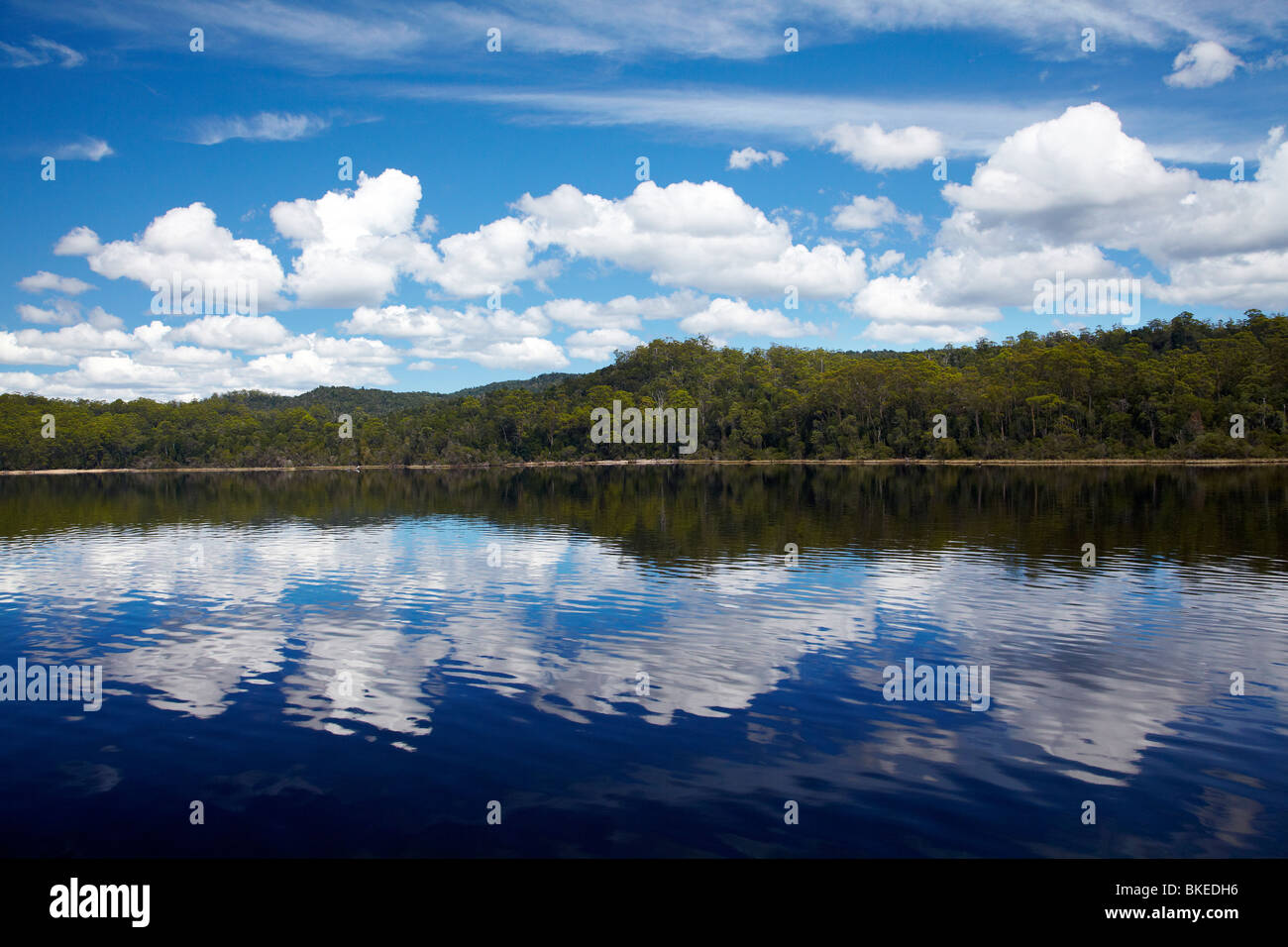 Reflections in Macquarie Harbour near Mouth of Gordon River, Franklin ...