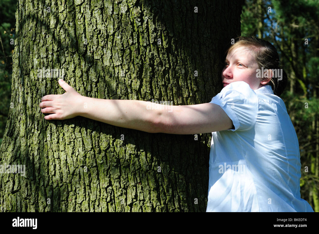Tree Hugger Stock Photo - Alamy