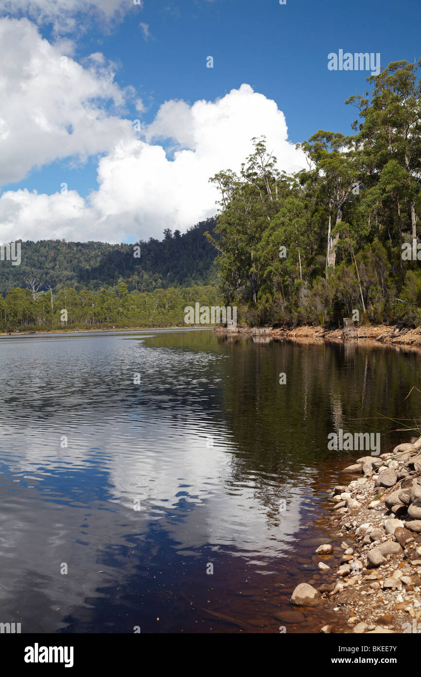 Lake Rosebery, near Tullah, Western Tasmania, Australia Stock Photo - Alamy