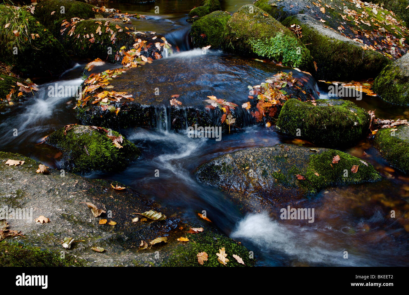 Stream running between rocks, Dartmoor Stock Photo - Alamy