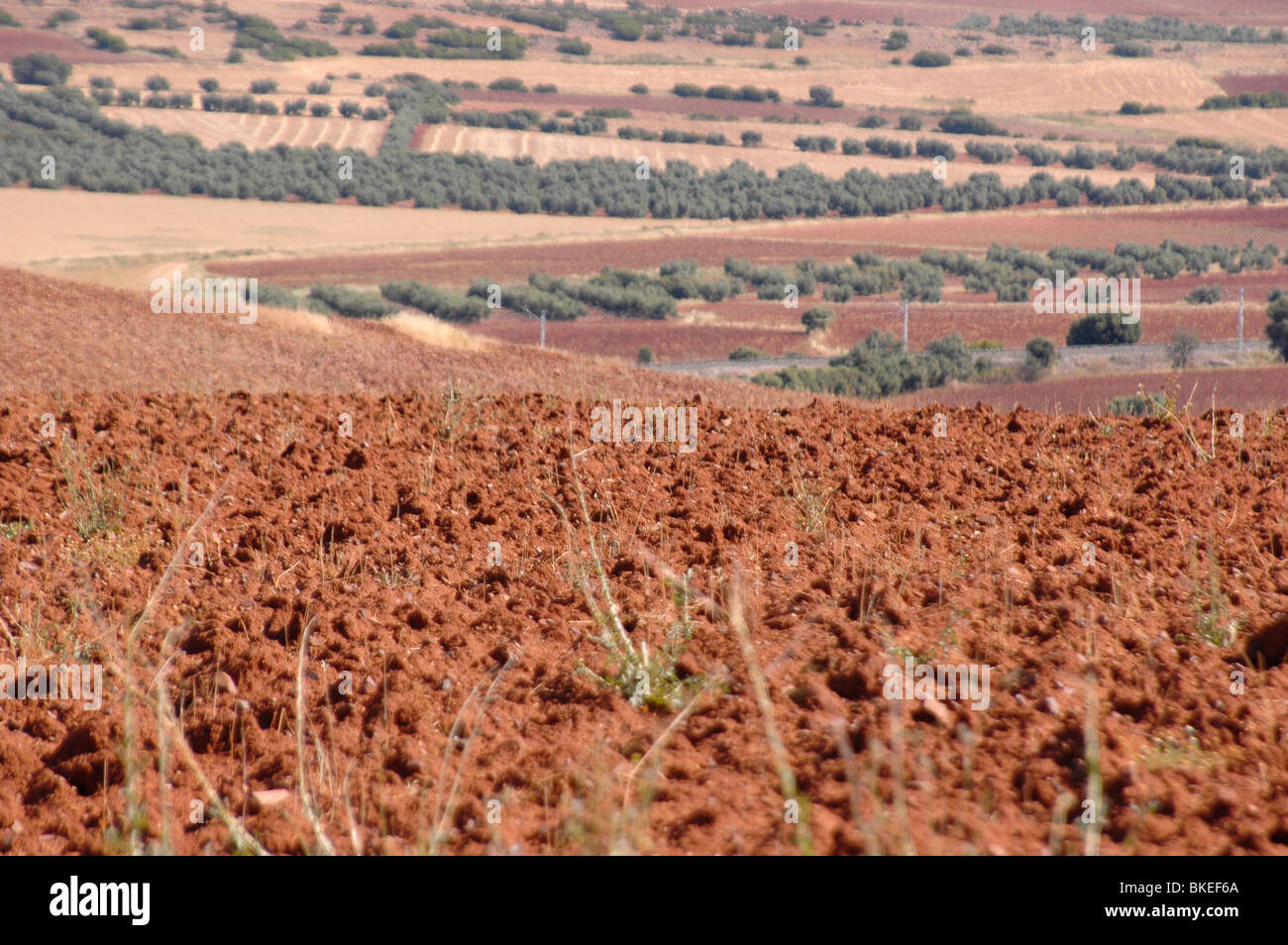 Countryside image, Imagen del campo Stock Photo - Alamy