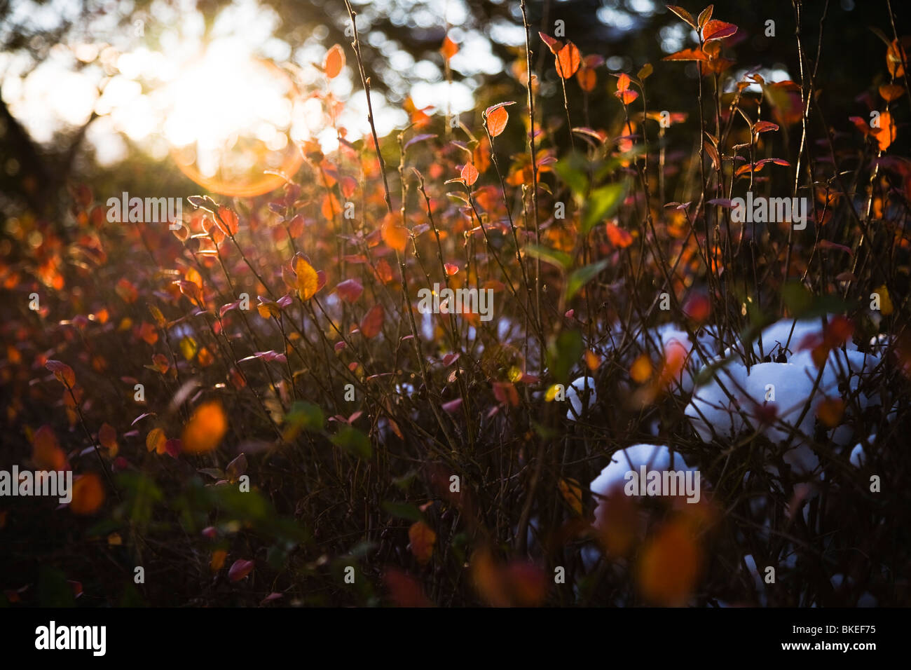 Exterior colours hi-res stock photography and images - Alamy