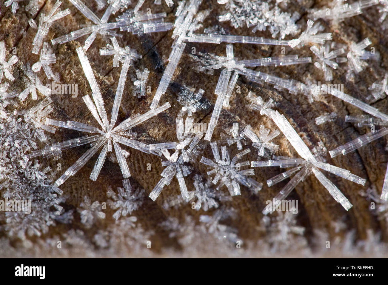 Frozen form hi-res stock photography and images - Alamy