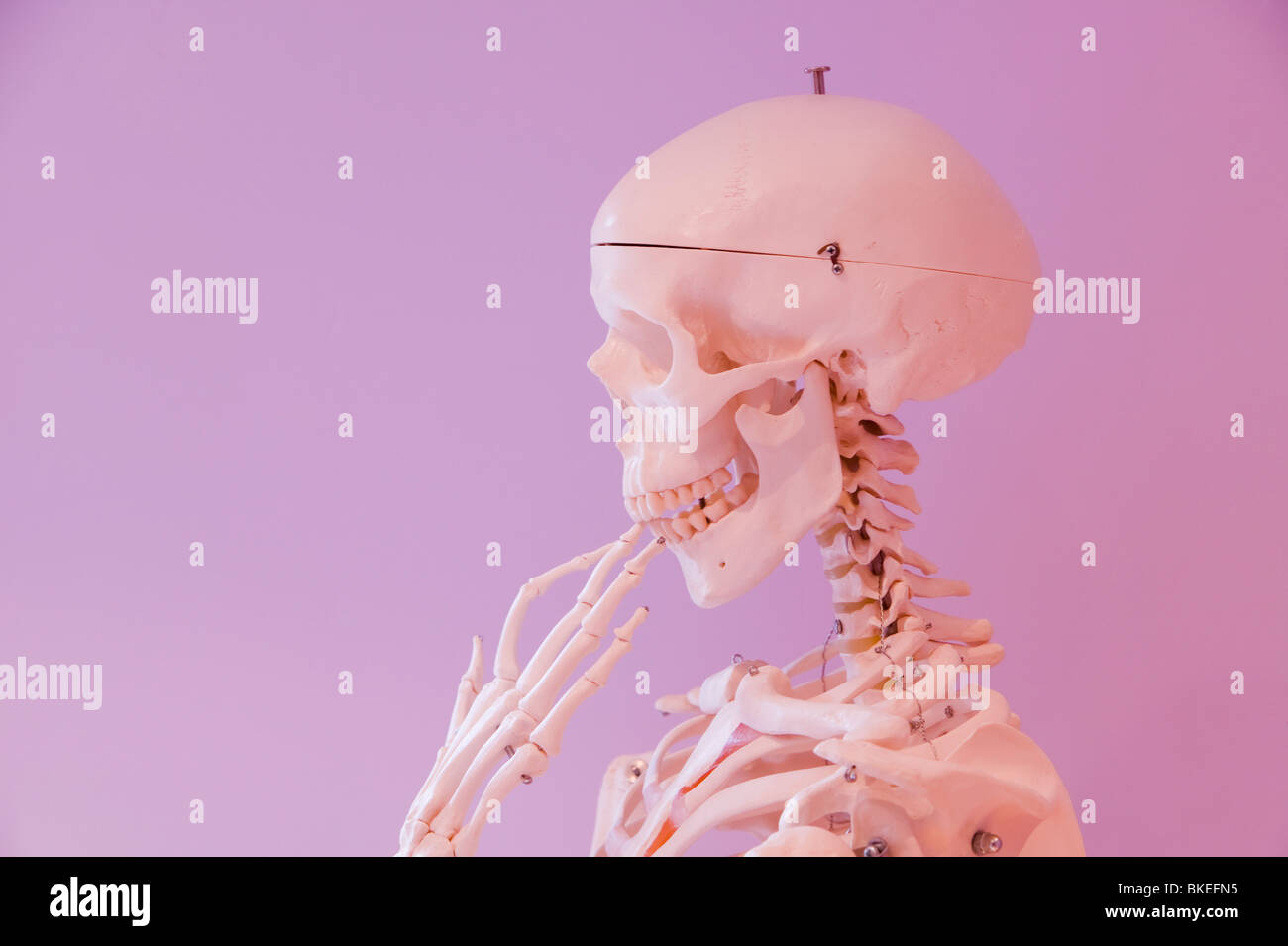 A human skeleton in a thoughtful pose Stock Photo - Alamy