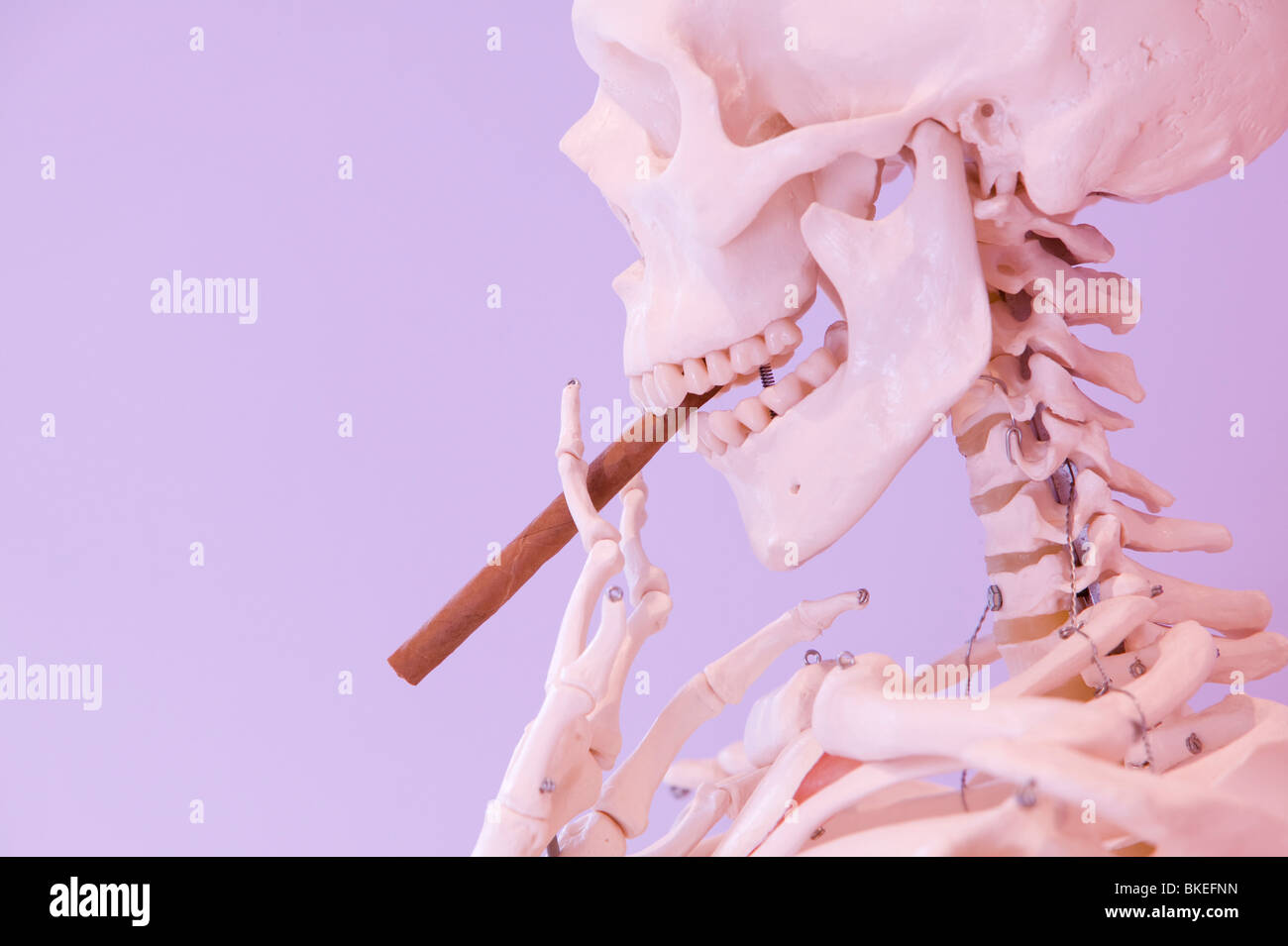 Smoking skull hi-res stock photography and images - Alamy