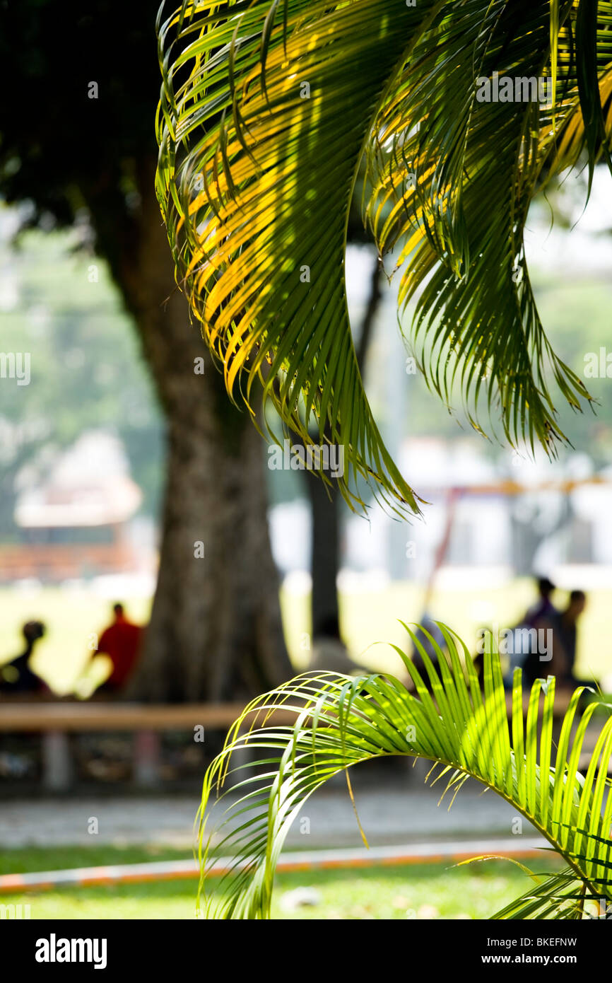 a park scene on a summers day Stock Photo - Alamy