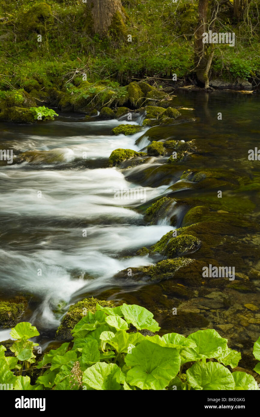 Derbyshire, England; River Wye In Peak District National Park Stock ...