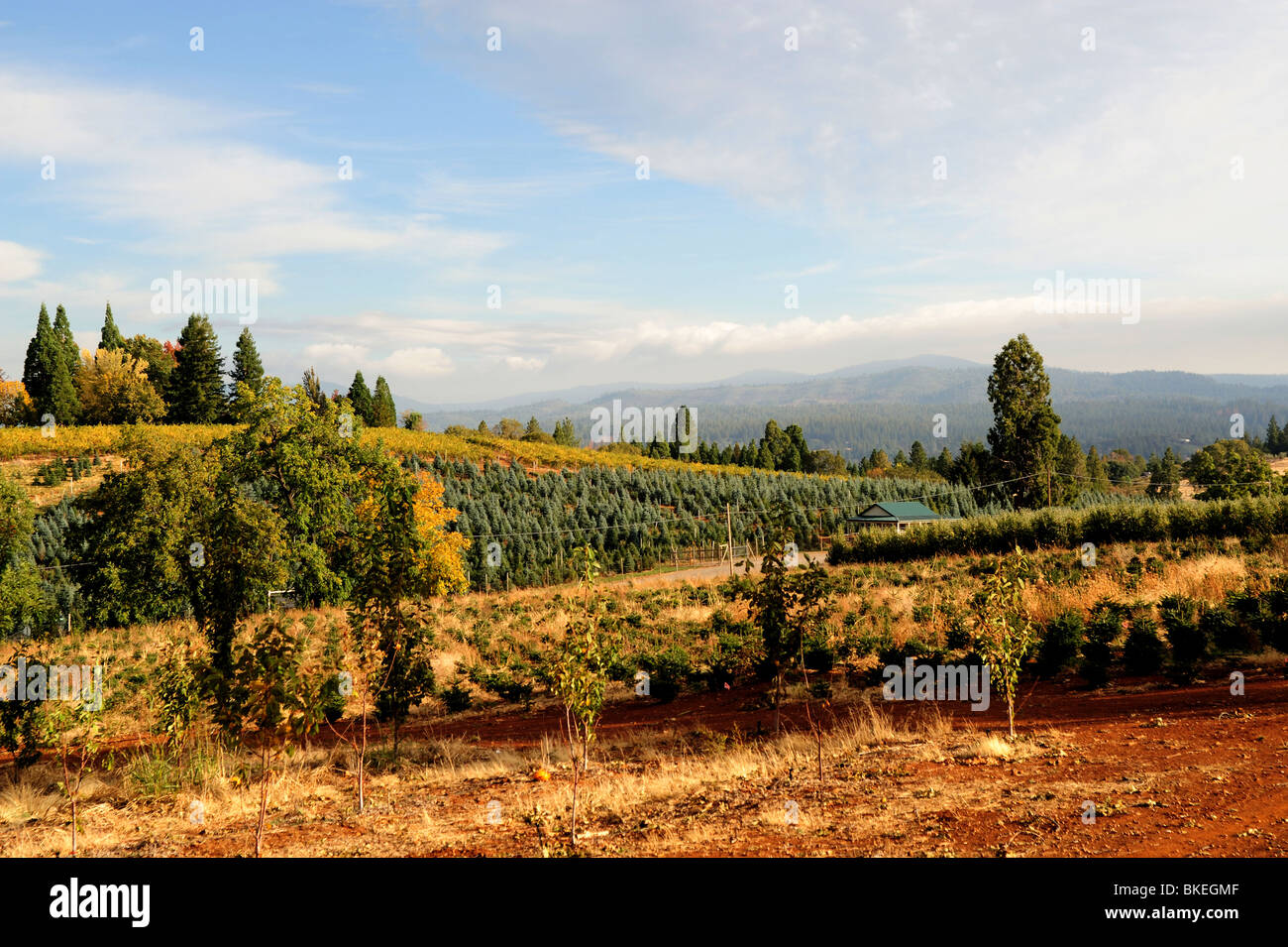Sierra foothills california hi-res stock photography and images - Alamy
