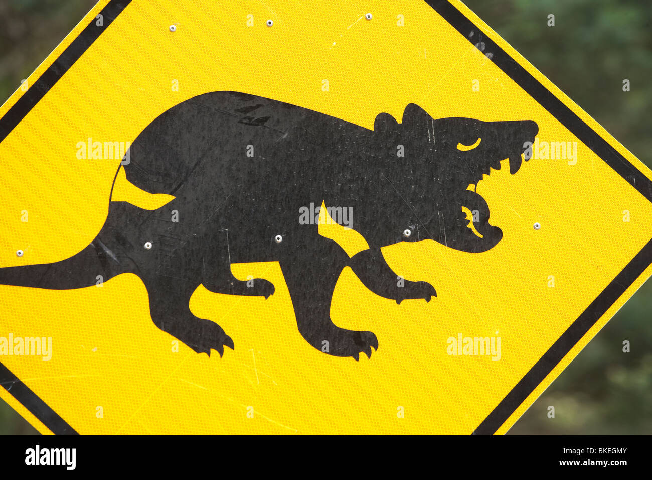 Tasmanian Devil warning sign, Tasman Peninsula, Southern Tasmania ...