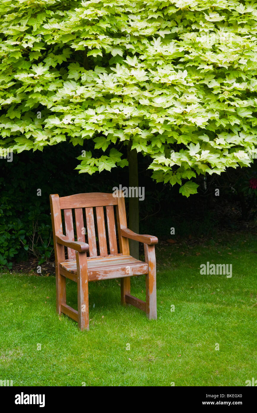 Garden Chair Under A Tree Stock Photo - Alamy