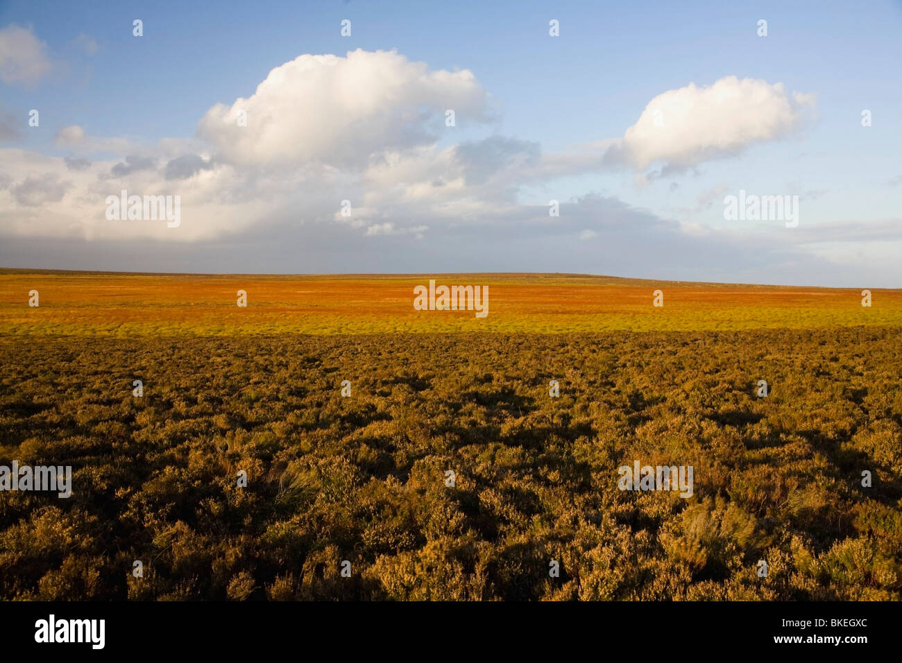 Flat wide landscape hi-res stock photography and images - Alamy
