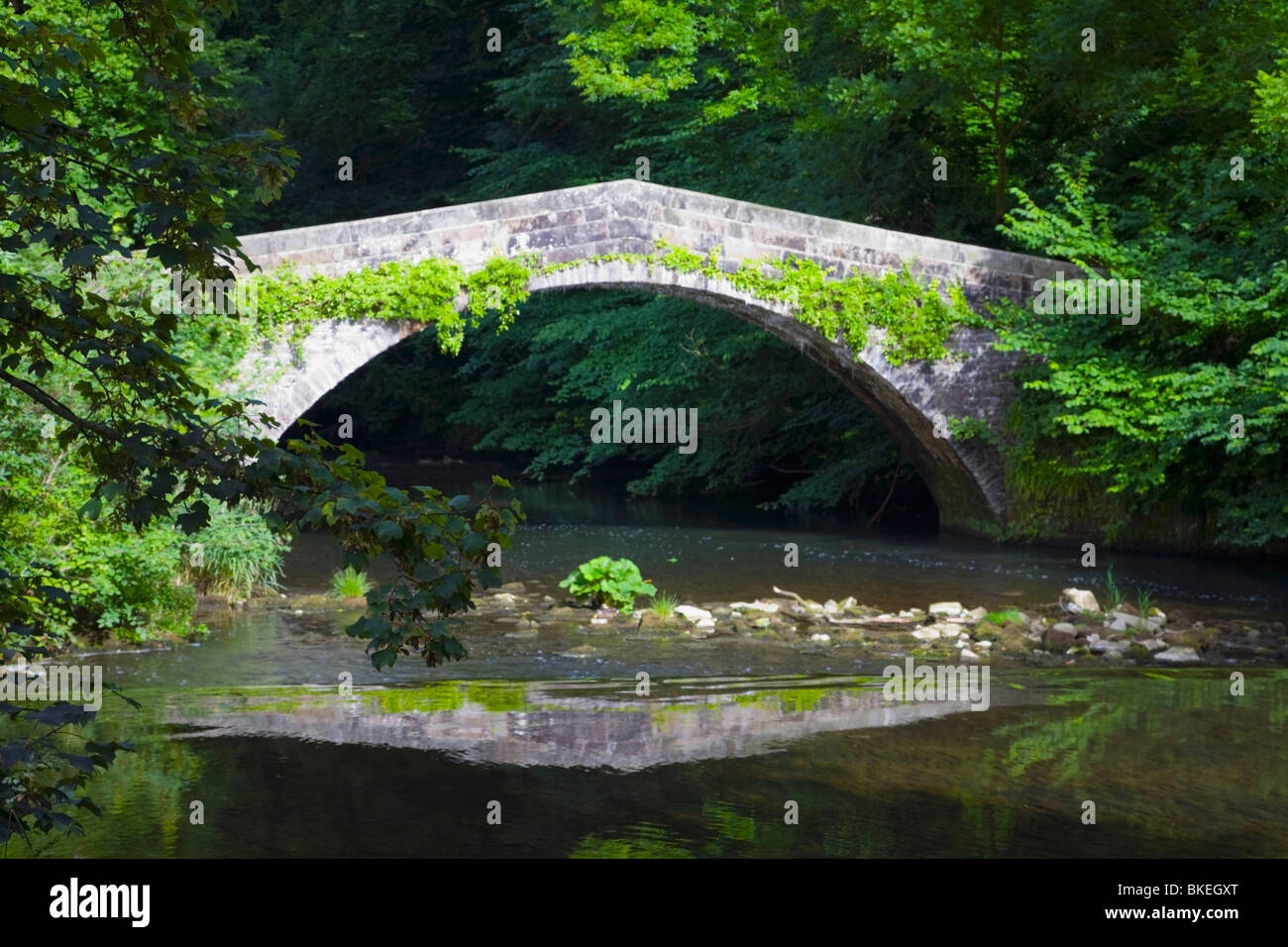 Bridges and branches and rivers and rivers hi-res stock photography and images - Alamy
