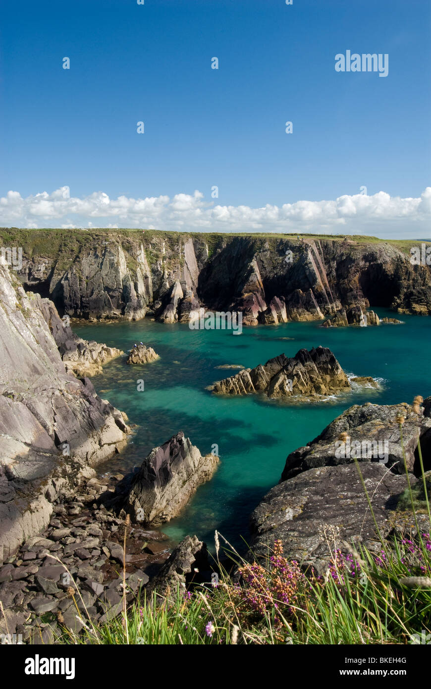 A view from the Pembrokeshire coastal path near St Davids showing ...