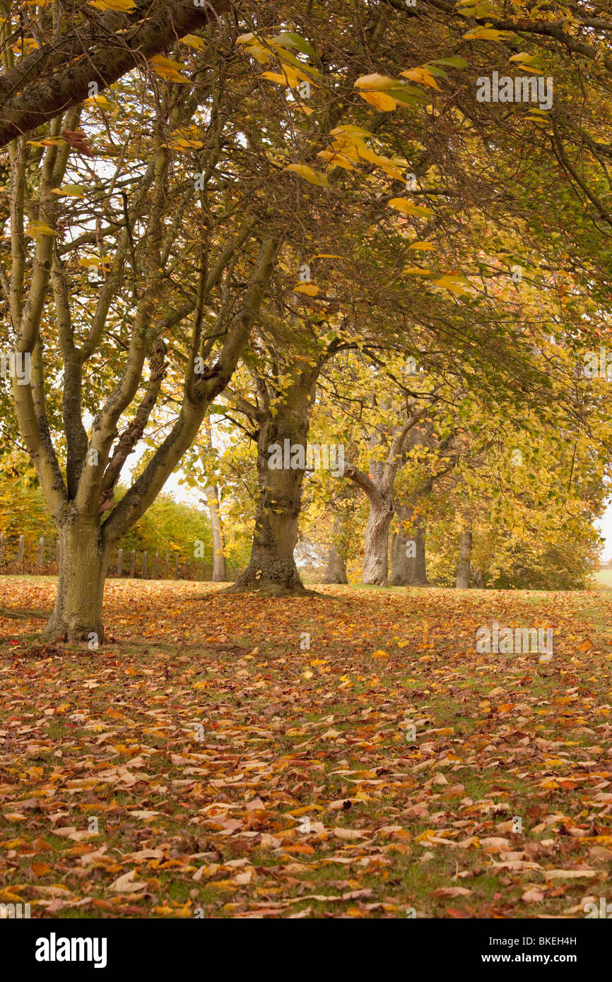 Change of borders hi-res stock photography and images - Alamy