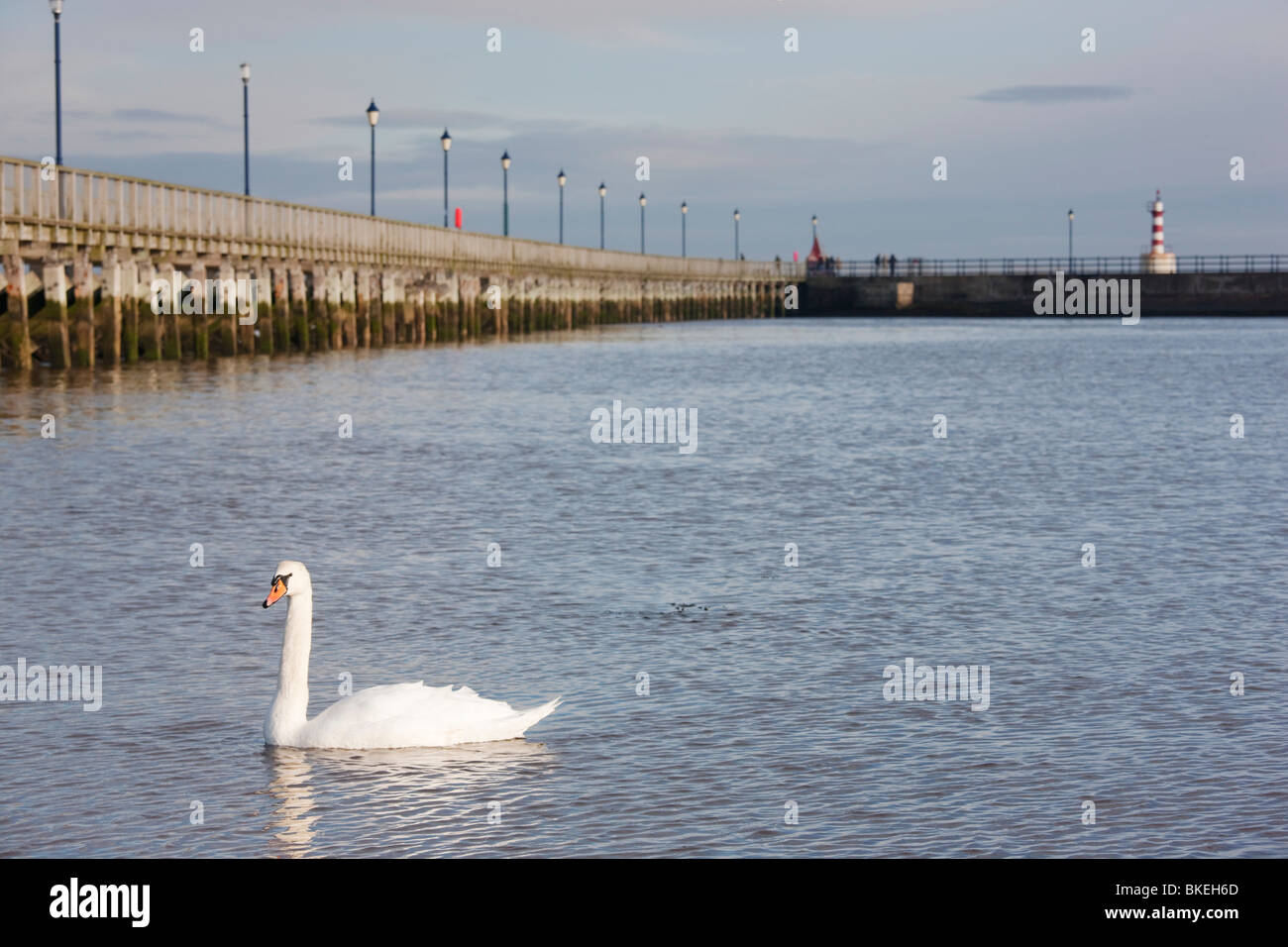 Lighthouse Amble Pier Lighthouse High Resolution Stock Photography and ...