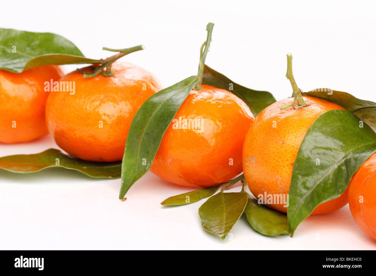 fresh mandarin fruits Stock Photo - Alamy