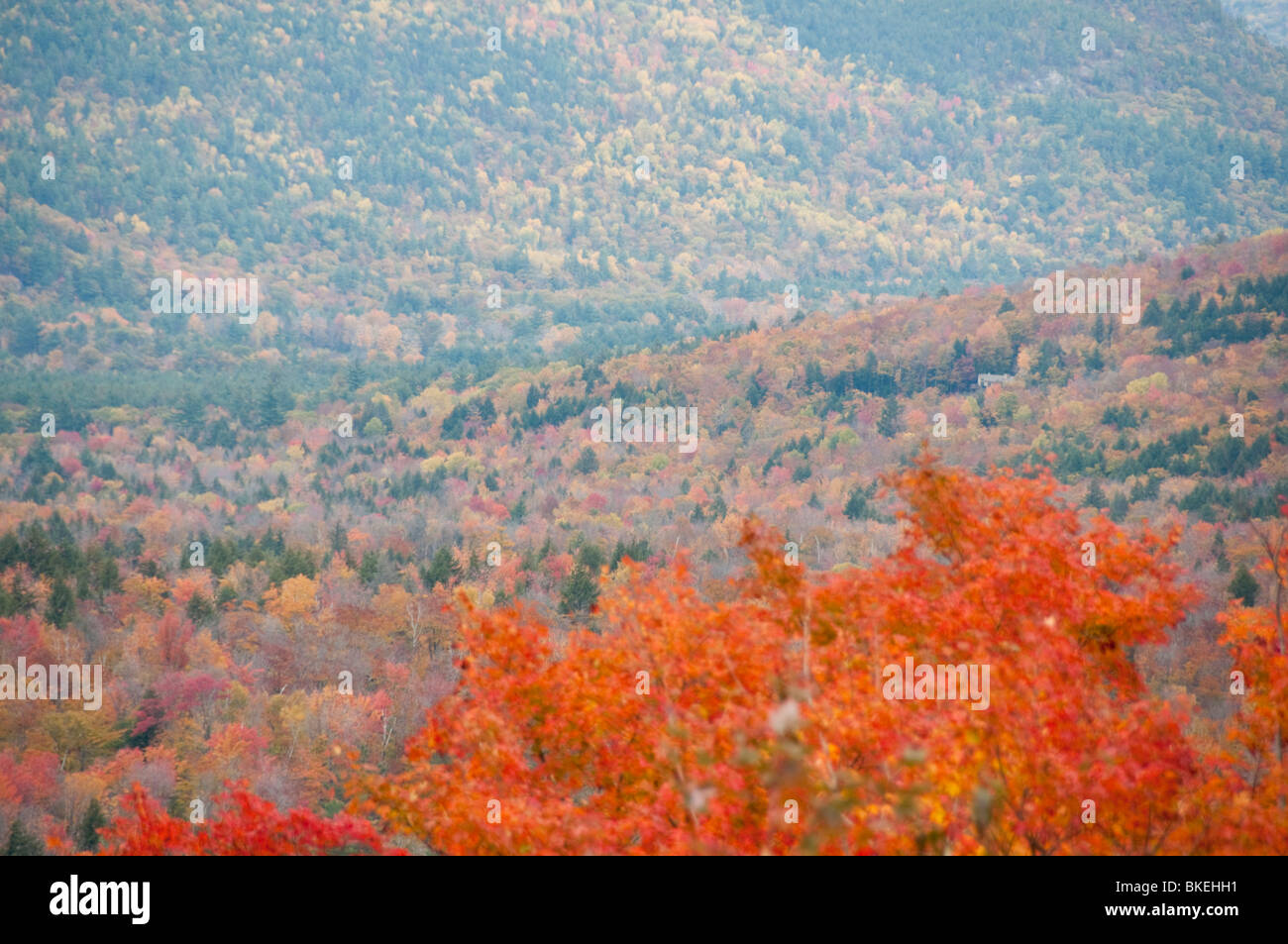 Fall Foliage, Autumn Fall,Colors,Colour,Colours,Bear Notch Road ...