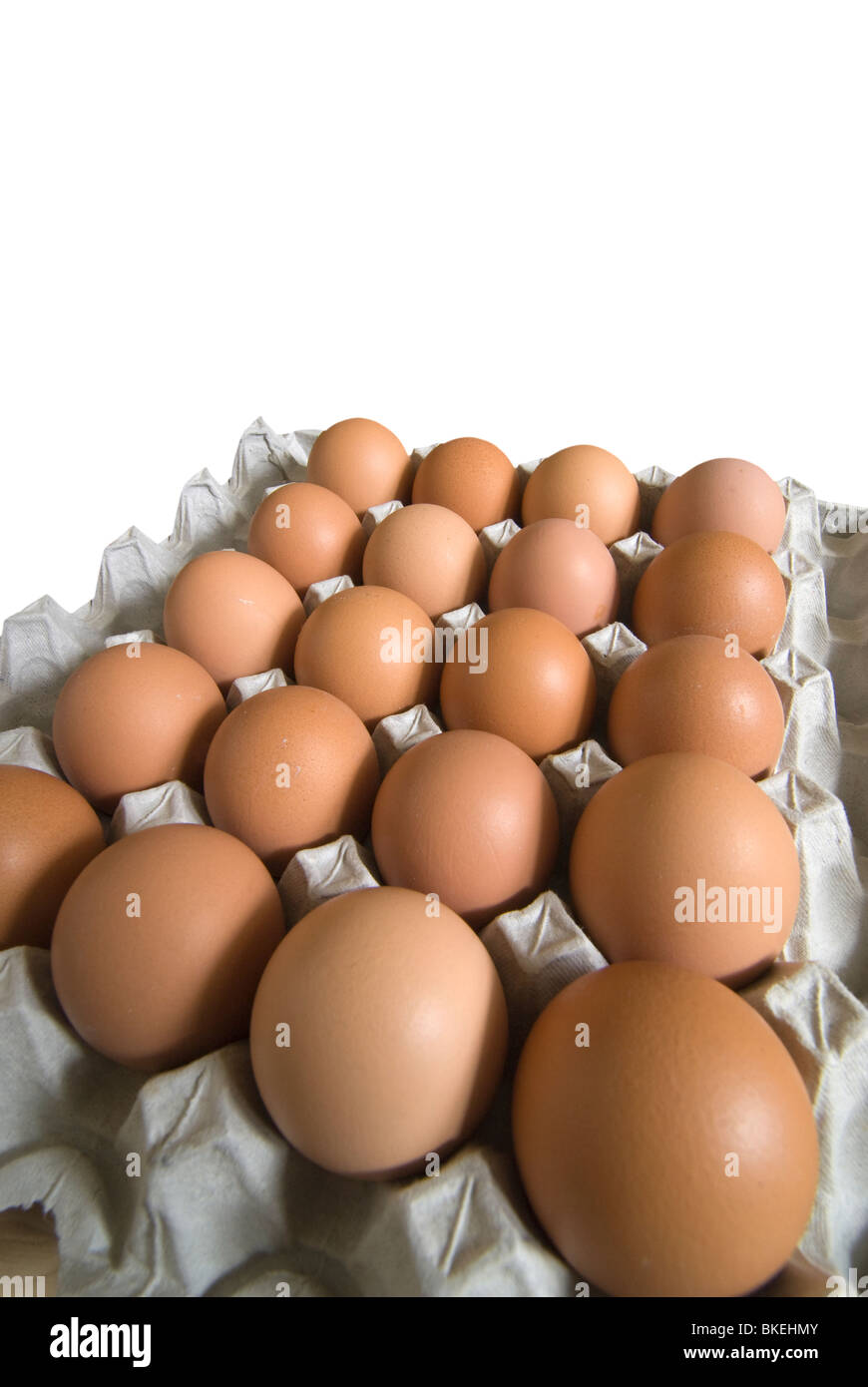 Hen eggs in cardboard container Stock Photo - Alamy