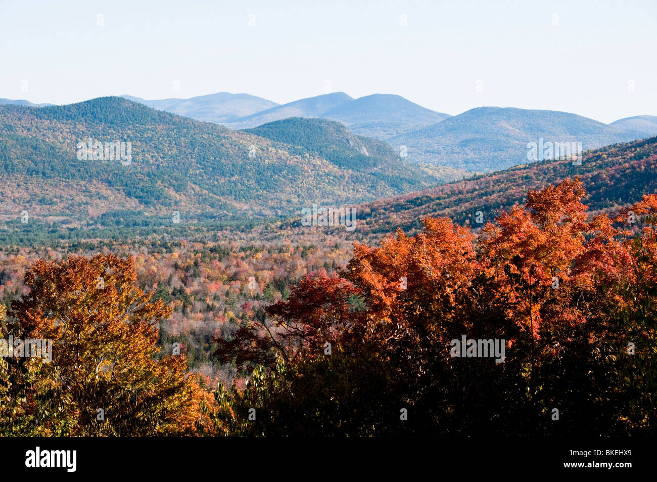 Fall Foliage, Autumn Fall,Colors,Colour,Colours,Bear Notch Road ...