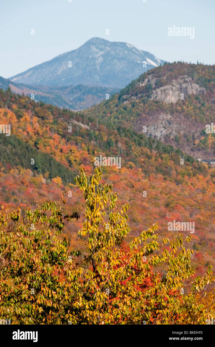 Fall Foliage, Autumn Fall,Colors,Colour,Colours,Bear Notch Road ...