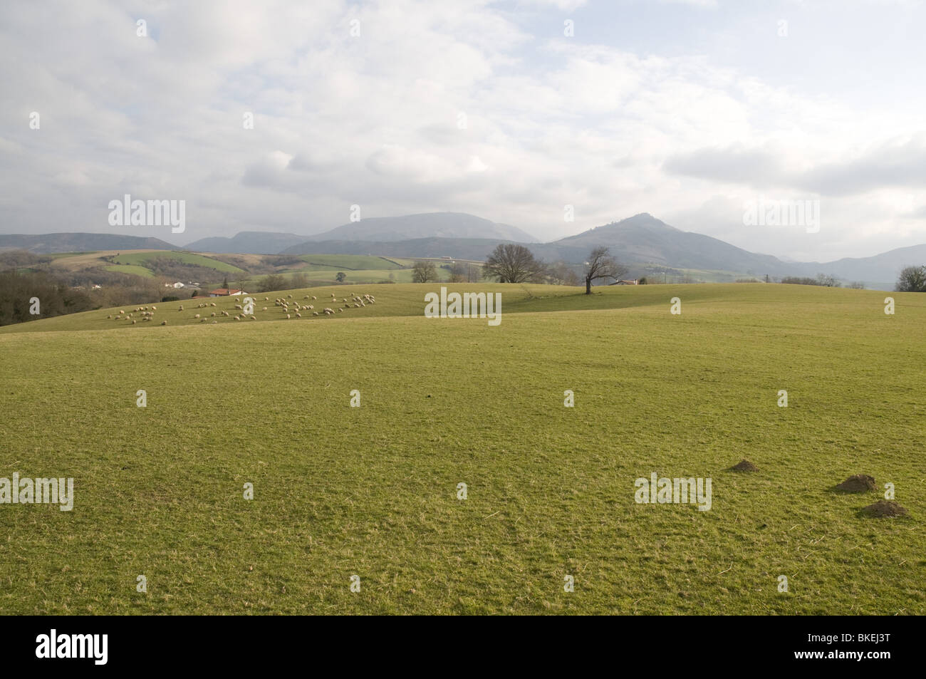 Europe france basque country pays basque euskadi hi-res stock ...