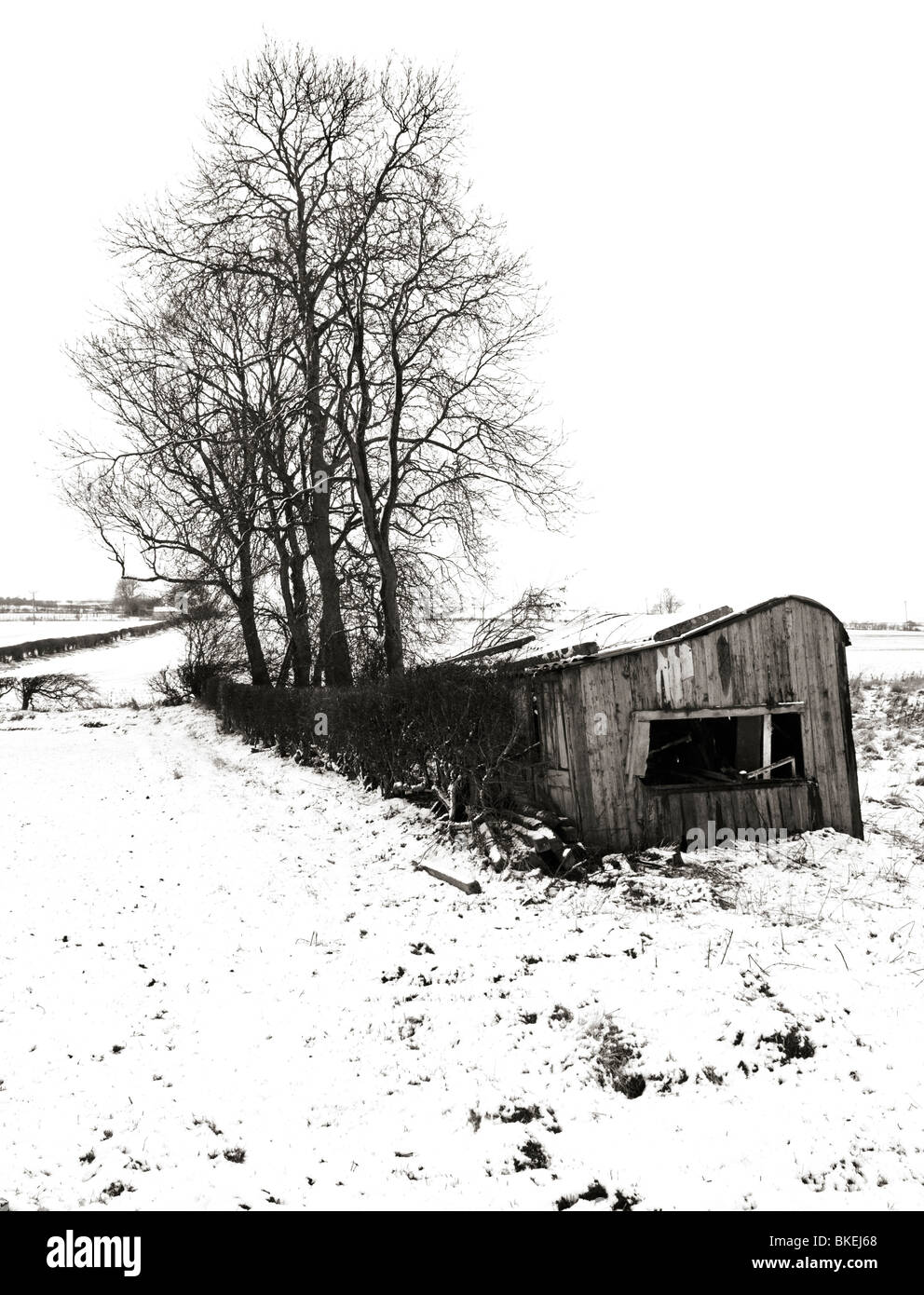Shed in the snow Stock Photo - Alamy