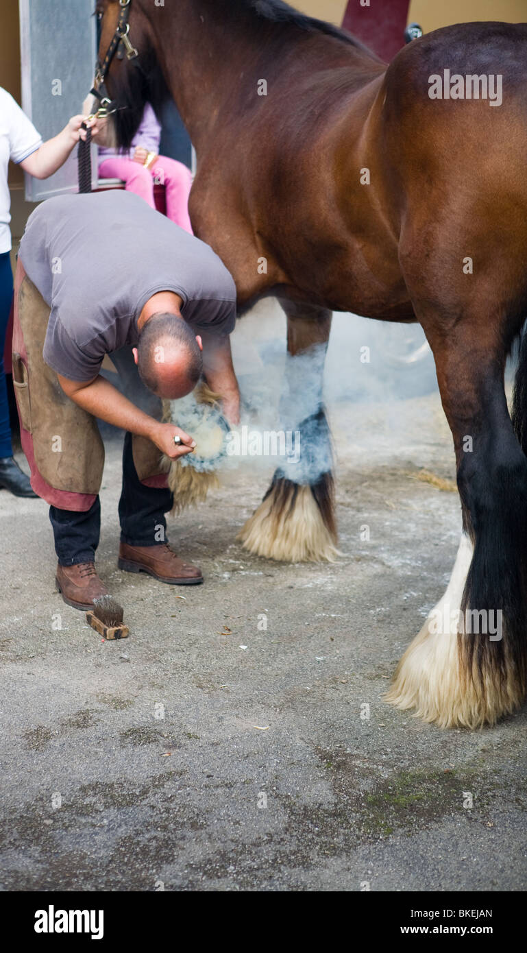 Farrier shoeing a horse Stock Photo - Alamy