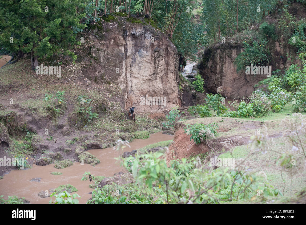 Soil Erosion Stock Photos & Soil Erosion Stock Images - Alamy