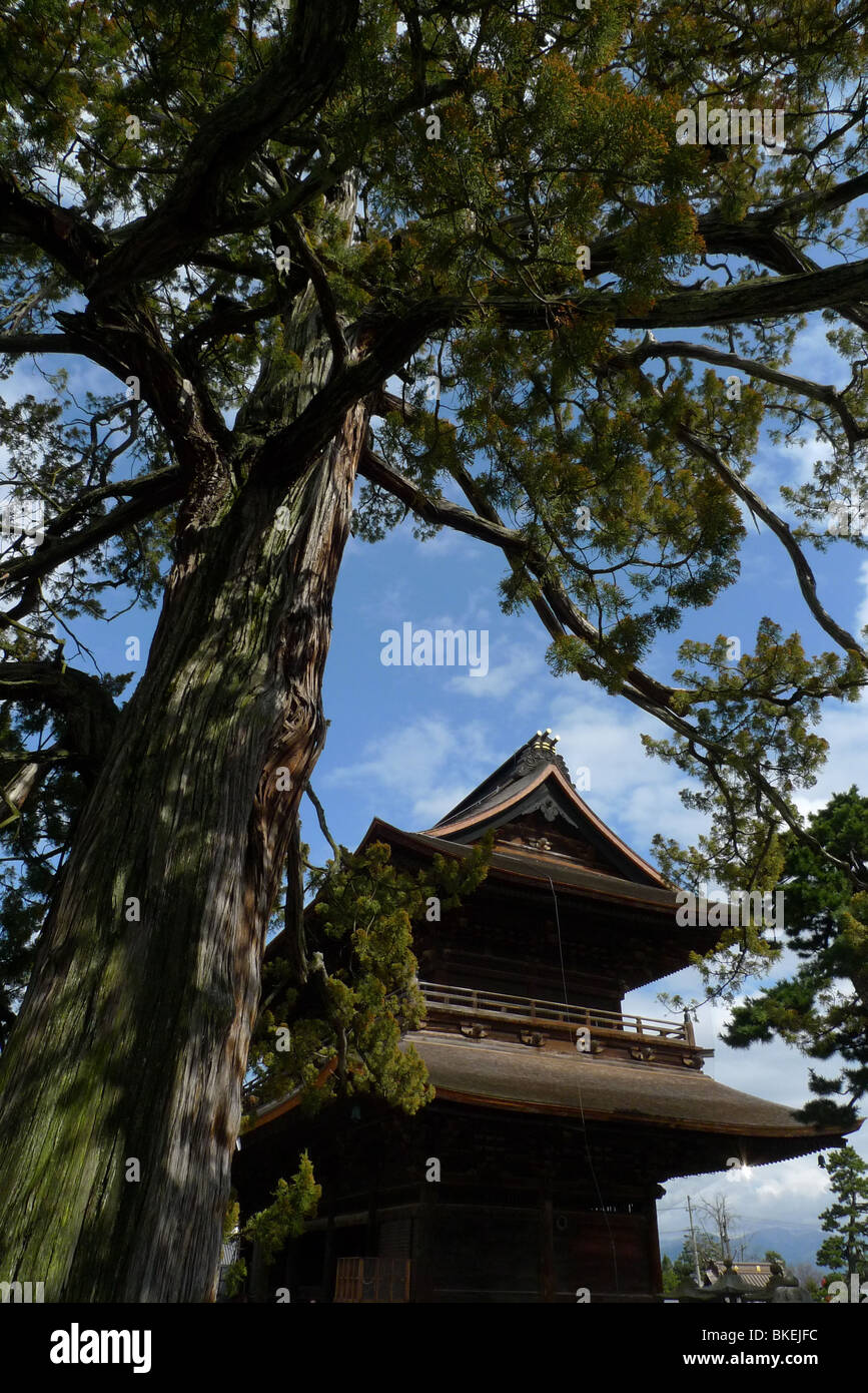 San-mon gate at the Buddhist Zenkoji Temple, in Nagano, Japan Stock ...