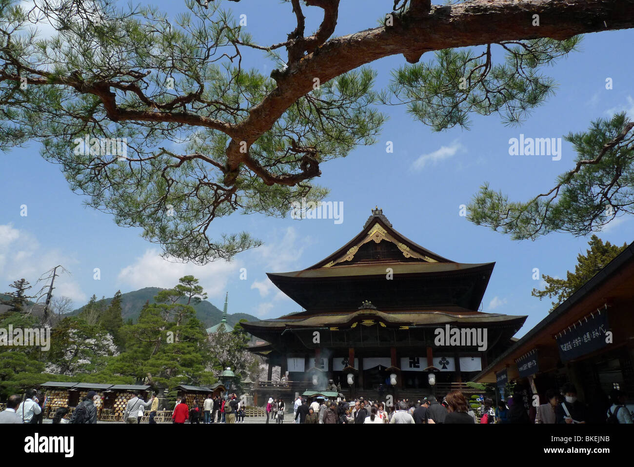 Buddhist Zenkoji Temple, in Nagano, Japan Stock Photo - Alamy