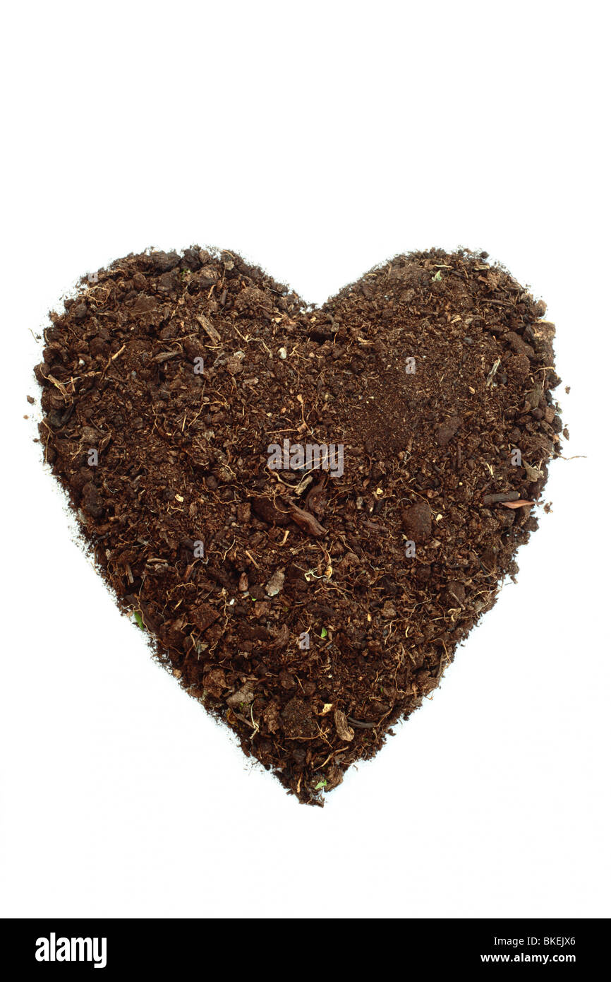 Heart shape made of soil on white background Stock Photo - Alamy