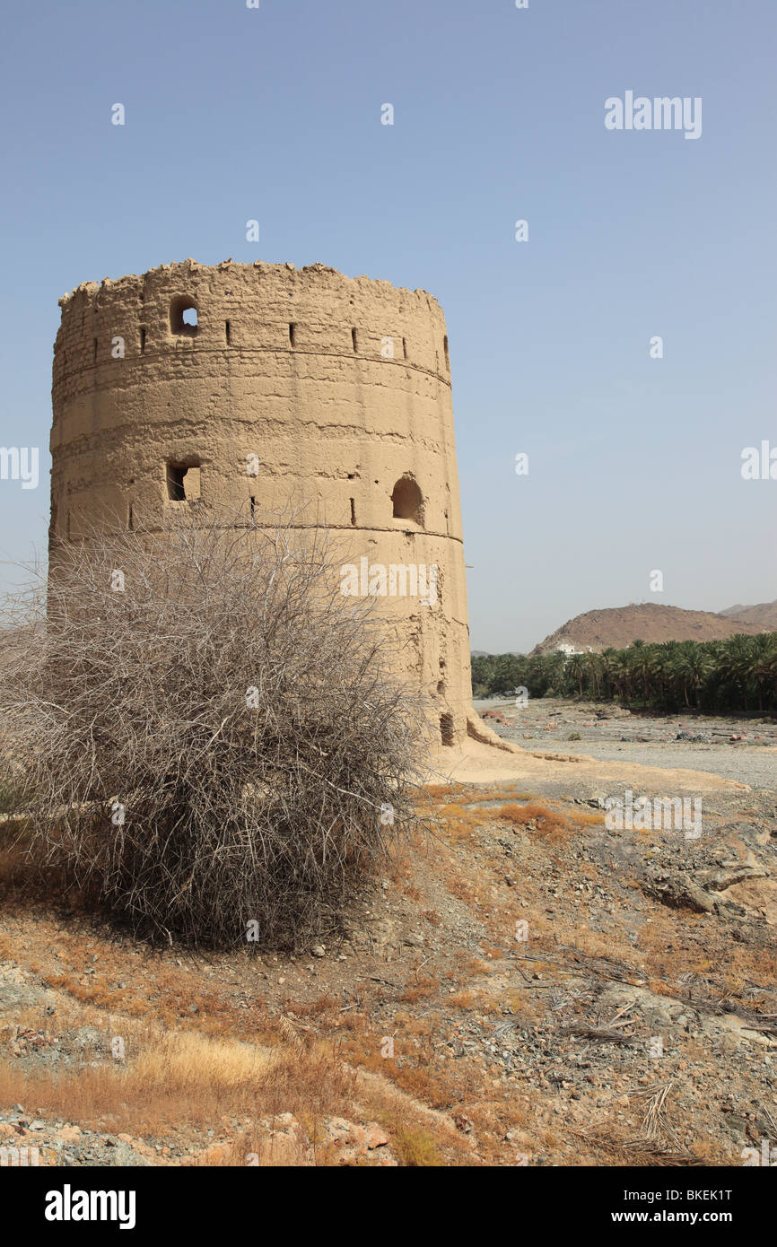 Fanja hi-res stock photography and images - Alamy