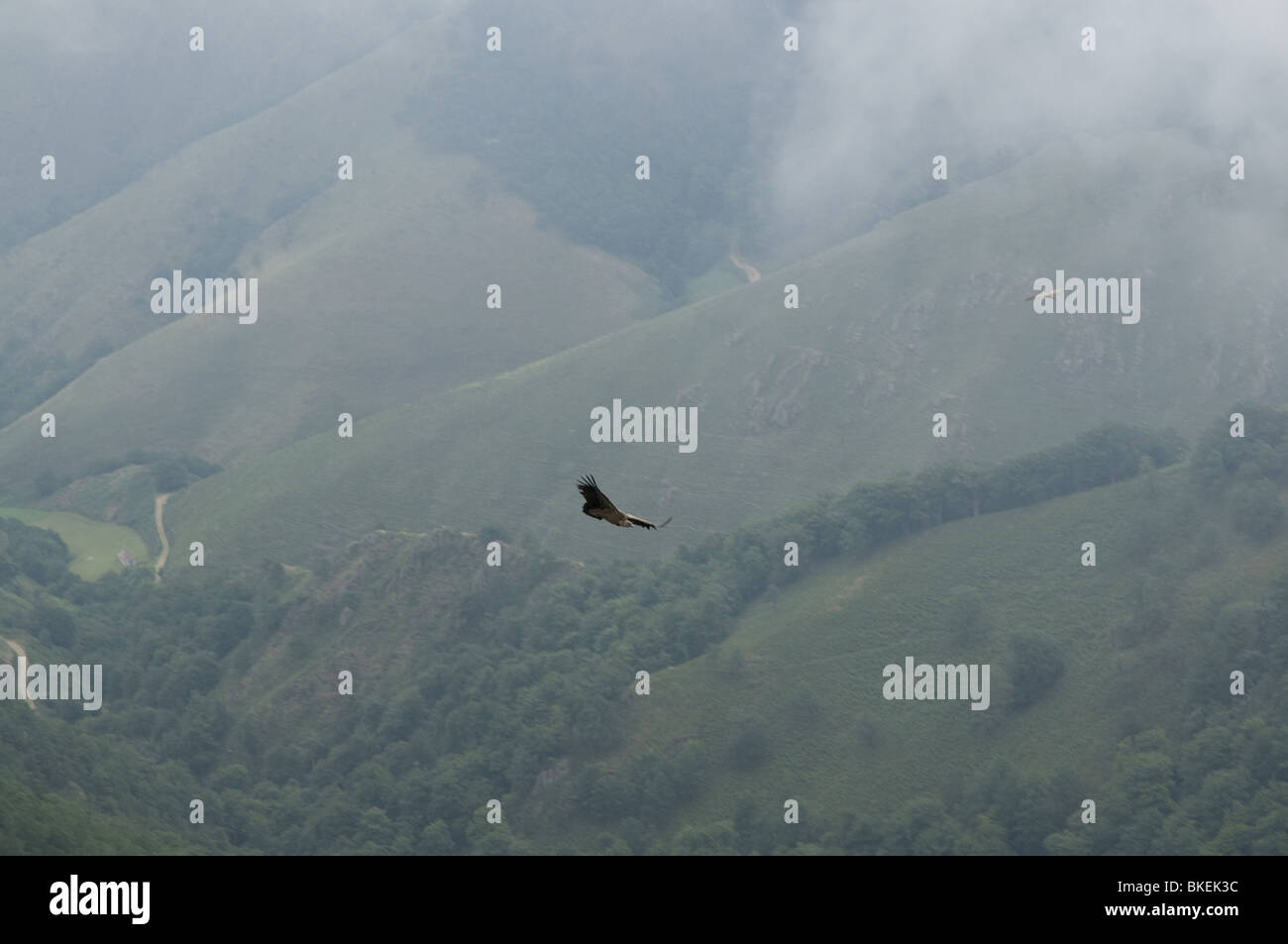 France pays basque iparla hi-res stock photography and images - Alamy