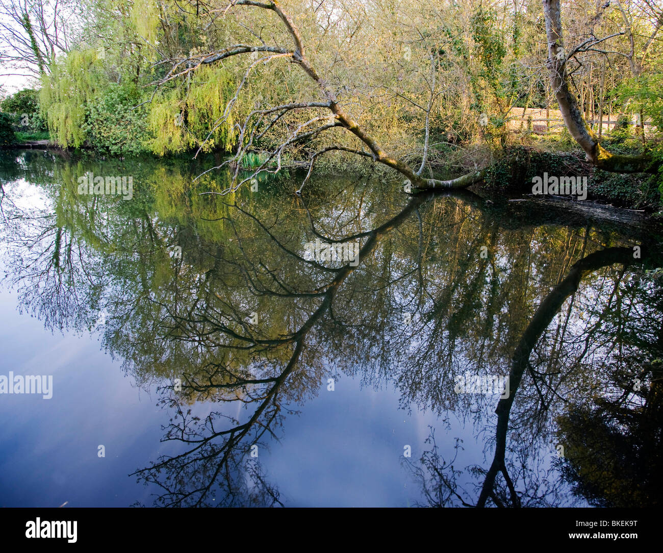 Slindon village hi-res stock photography and images - Alamy