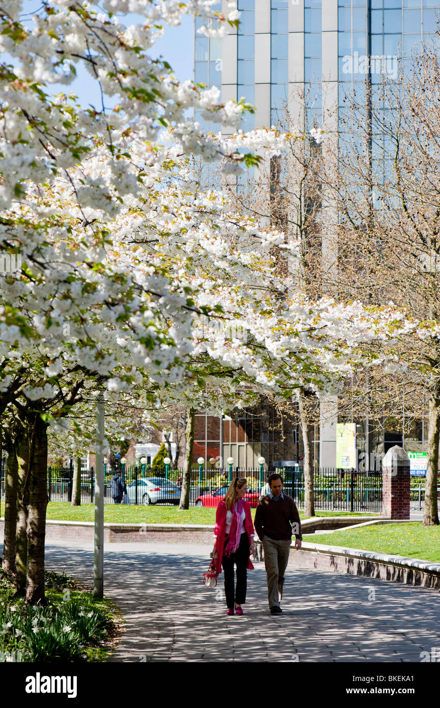 London in blossom hi-res stock photography and images - Alamy