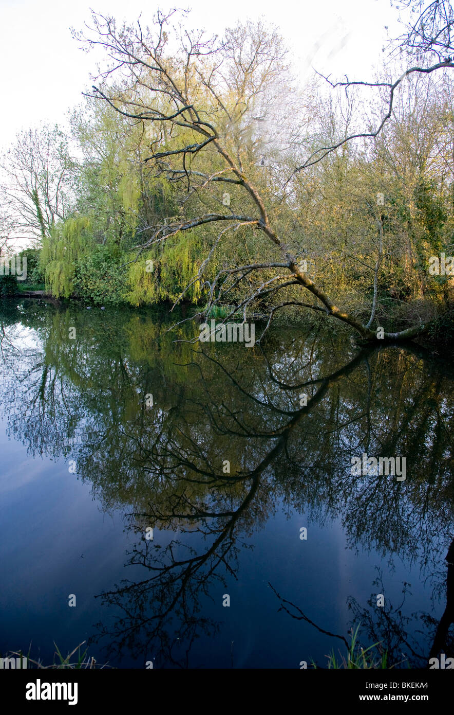 Slindon village hi-res stock photography and images - Alamy