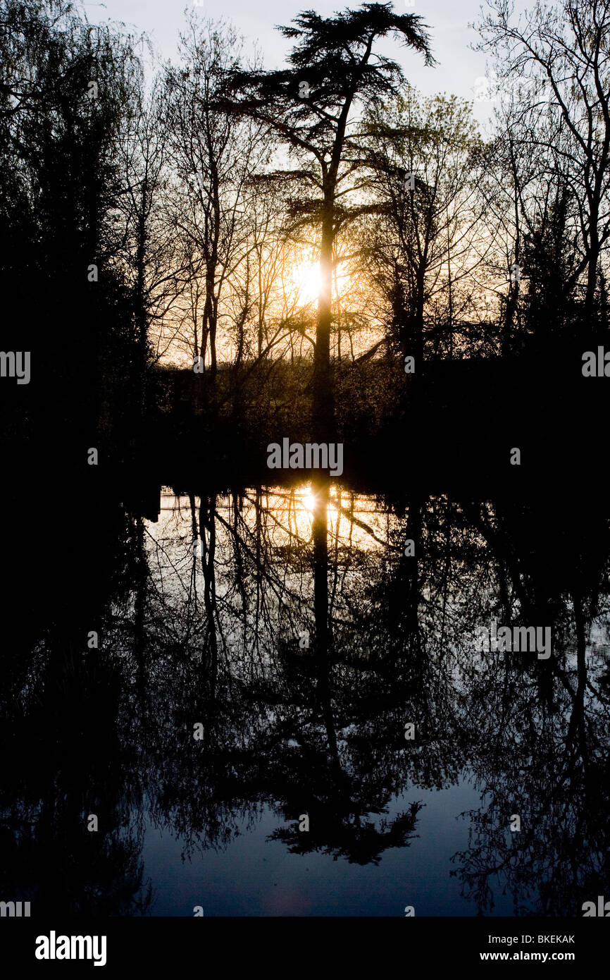 A Pond at Slindon, West Sussex Stock Photo - Alamy