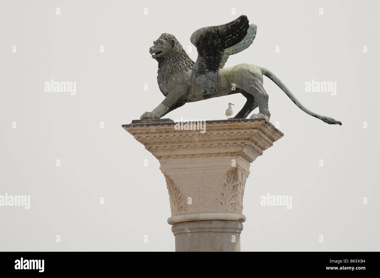 Winged lion of venice hi-res stock photography and images - Alamy