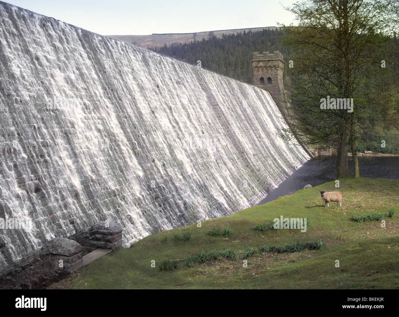 Severn trent upper derwent valley hi-res stock photography and images ...