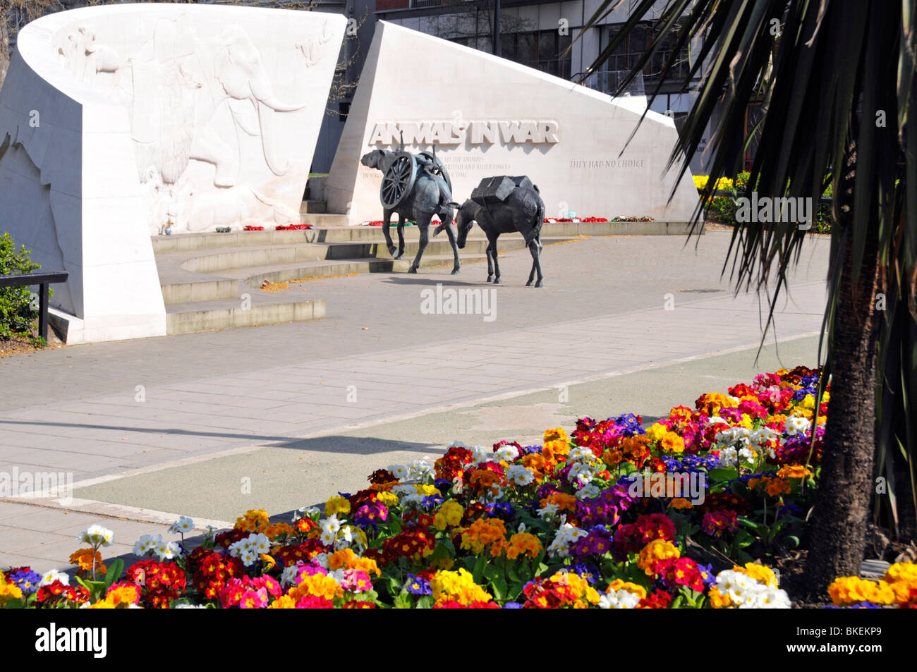Animals in War memorial bronze mules & curved Portland stone wall ...